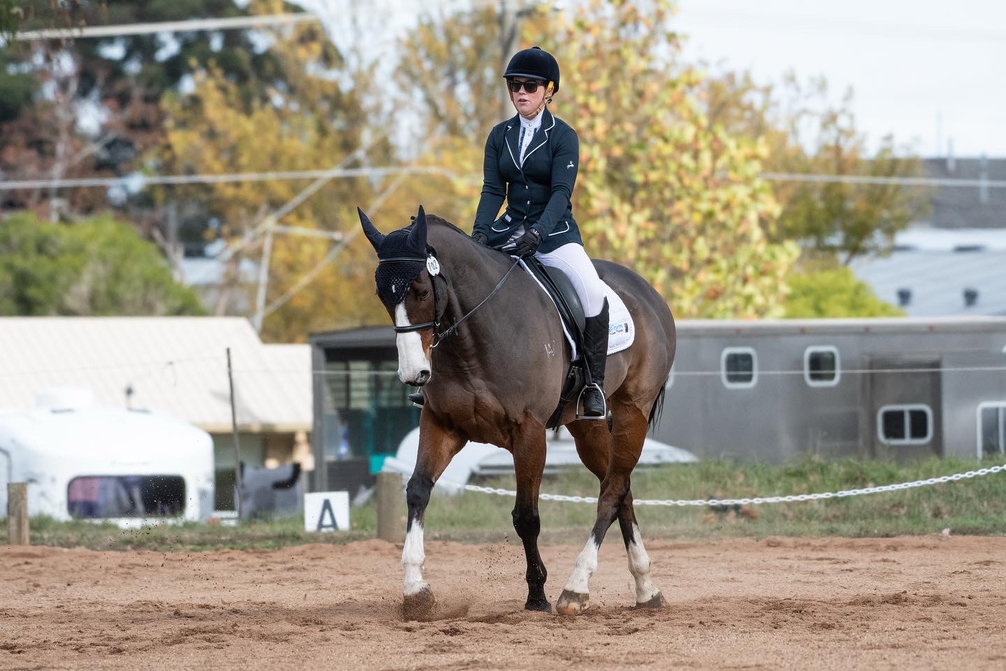 From Racehorse Ownership to an Off The Track Fan | Thoroughbred Racing ...