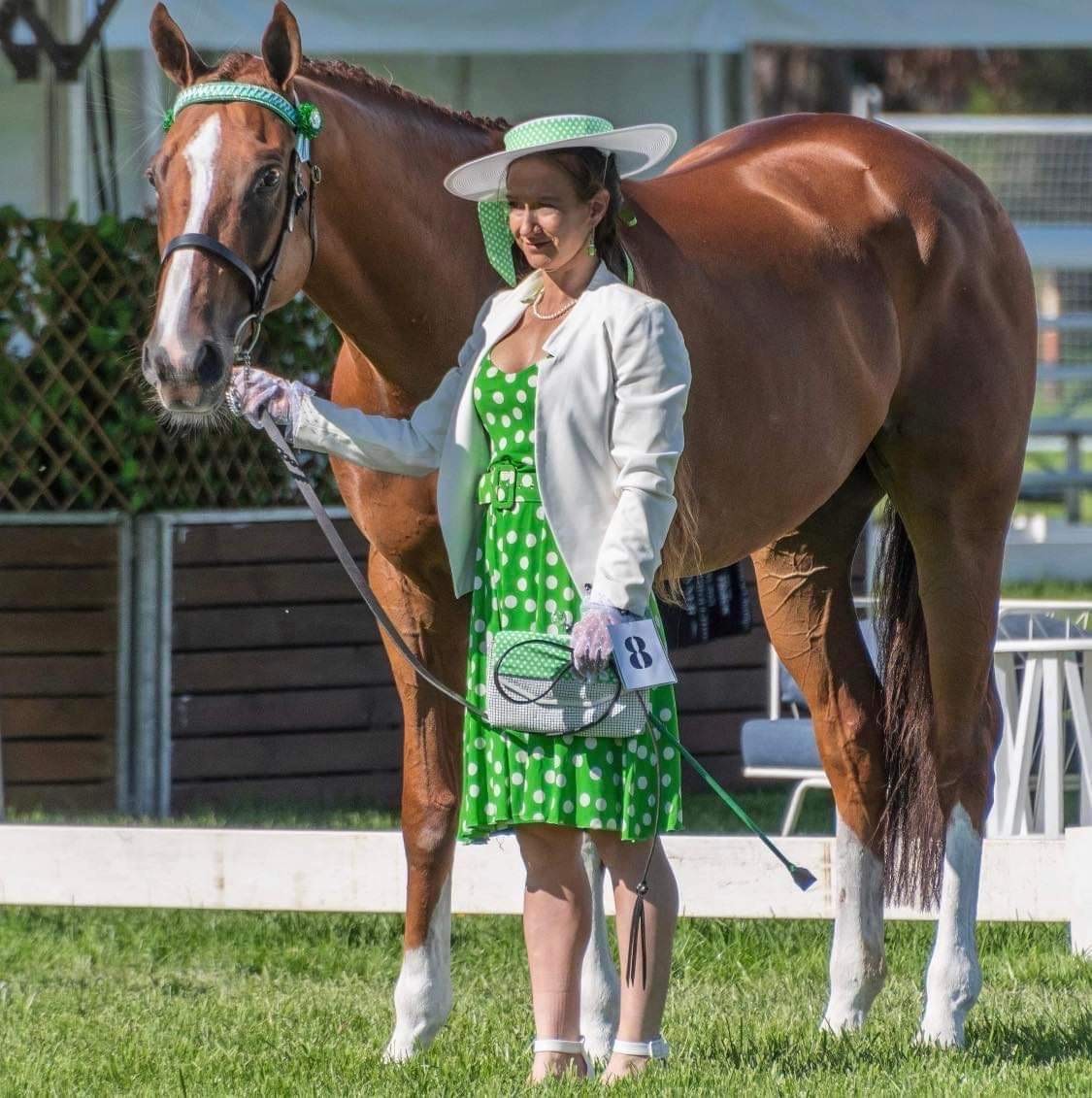 From Racehorse to Show Horse | Thoroughbred Racing Northern Territory