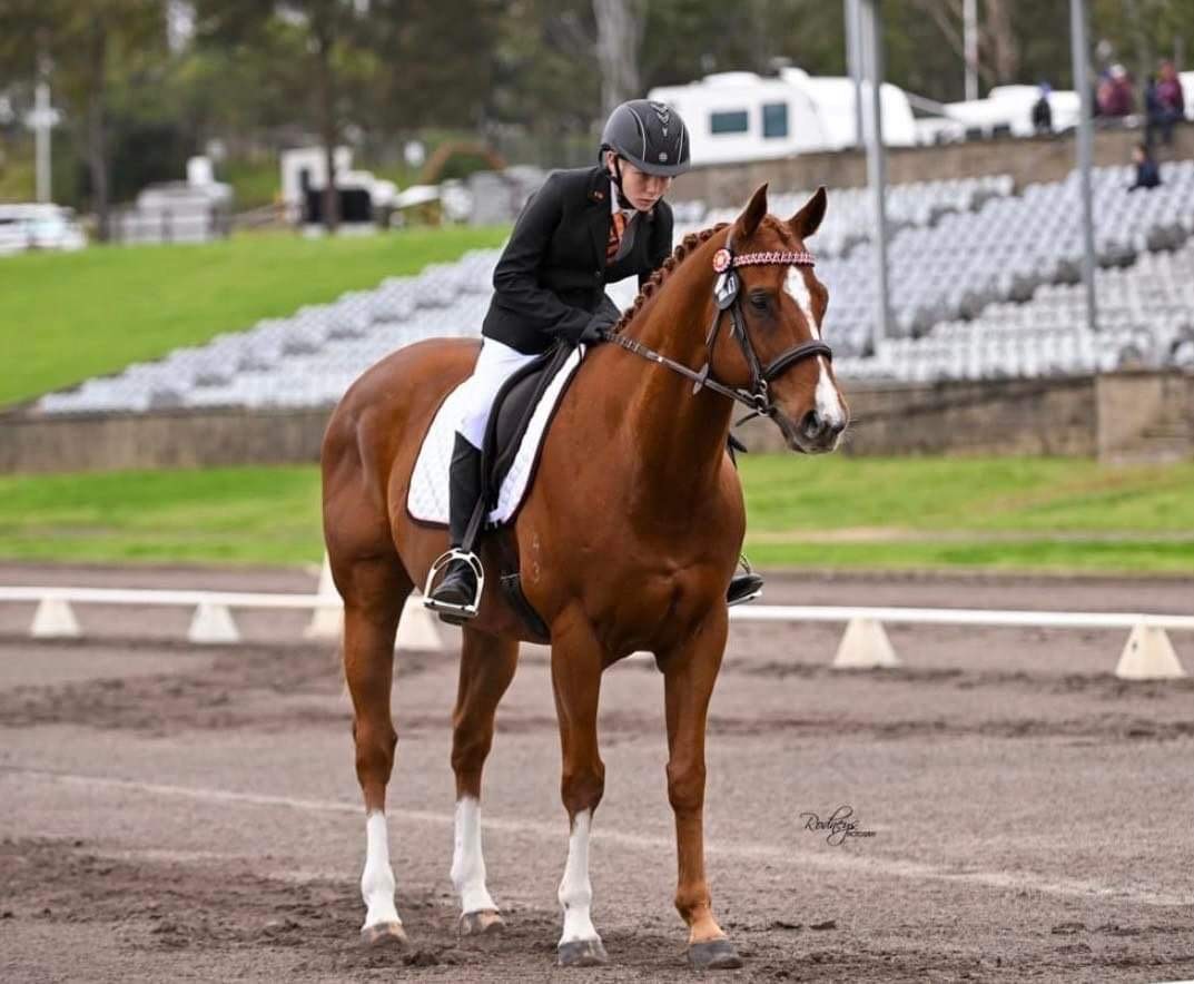 Champion Thoroughbred Returns | Thoroughbred Racing Northern Territory