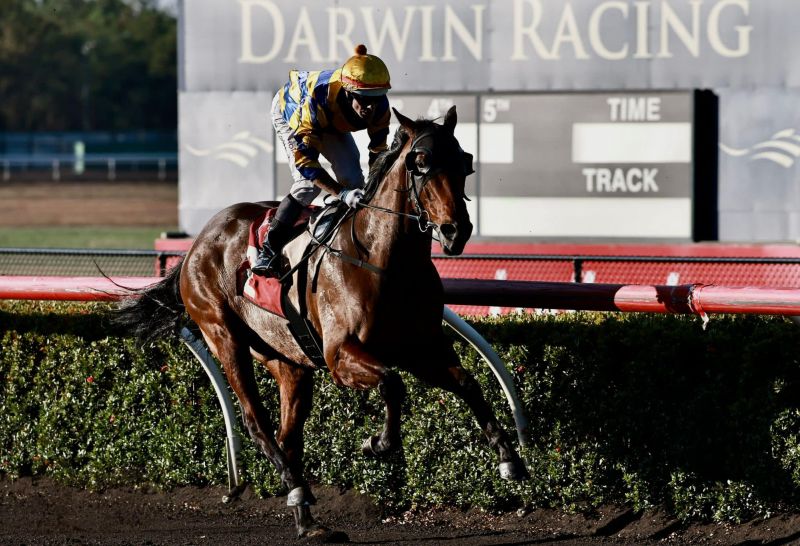 Thoroughbred Racing Northern Territory